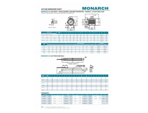 Monarch Single Phase Induction Motor | Davis & Spence