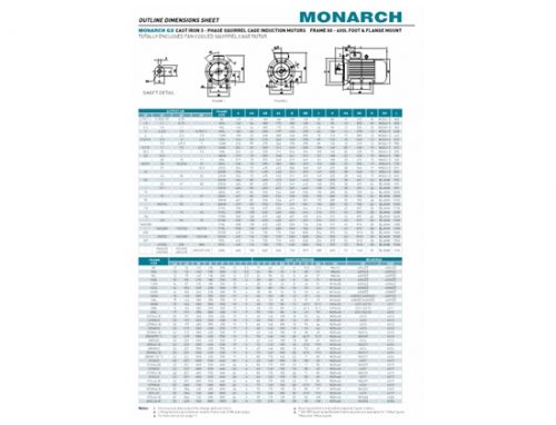 Monarch Single Phase Induction Motor | Davis & Spence