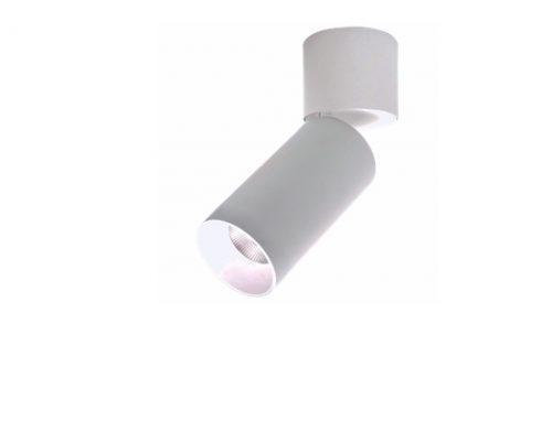 Ceiling | Architectural - Davis + Spence