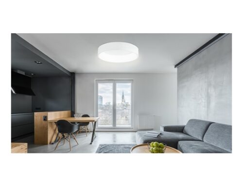 Ceiling | Surface Mounted - Davis + Spence