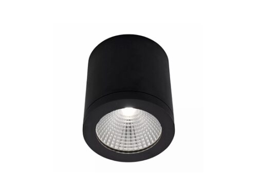 Surface Mount Downlight - Davis + Spence