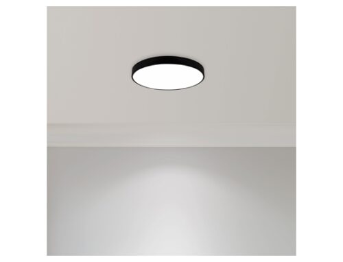 Ceiling | Surface Mount - Davis + Spence