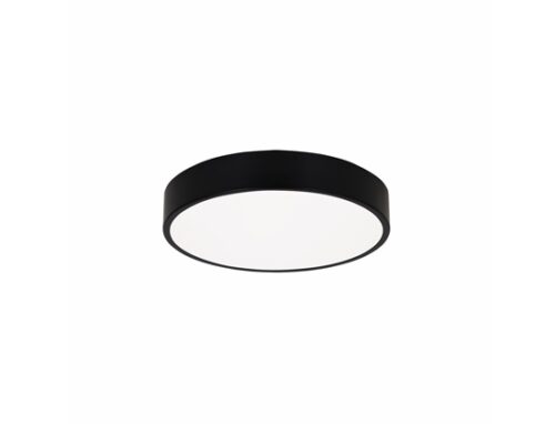 Ceiling | Surface Mount - Davis + Spence