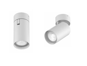 Ceiling | Surface Mount - Davis + Spence