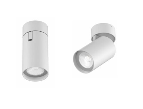 Ceiling | Surface Mount - Davis + Spence